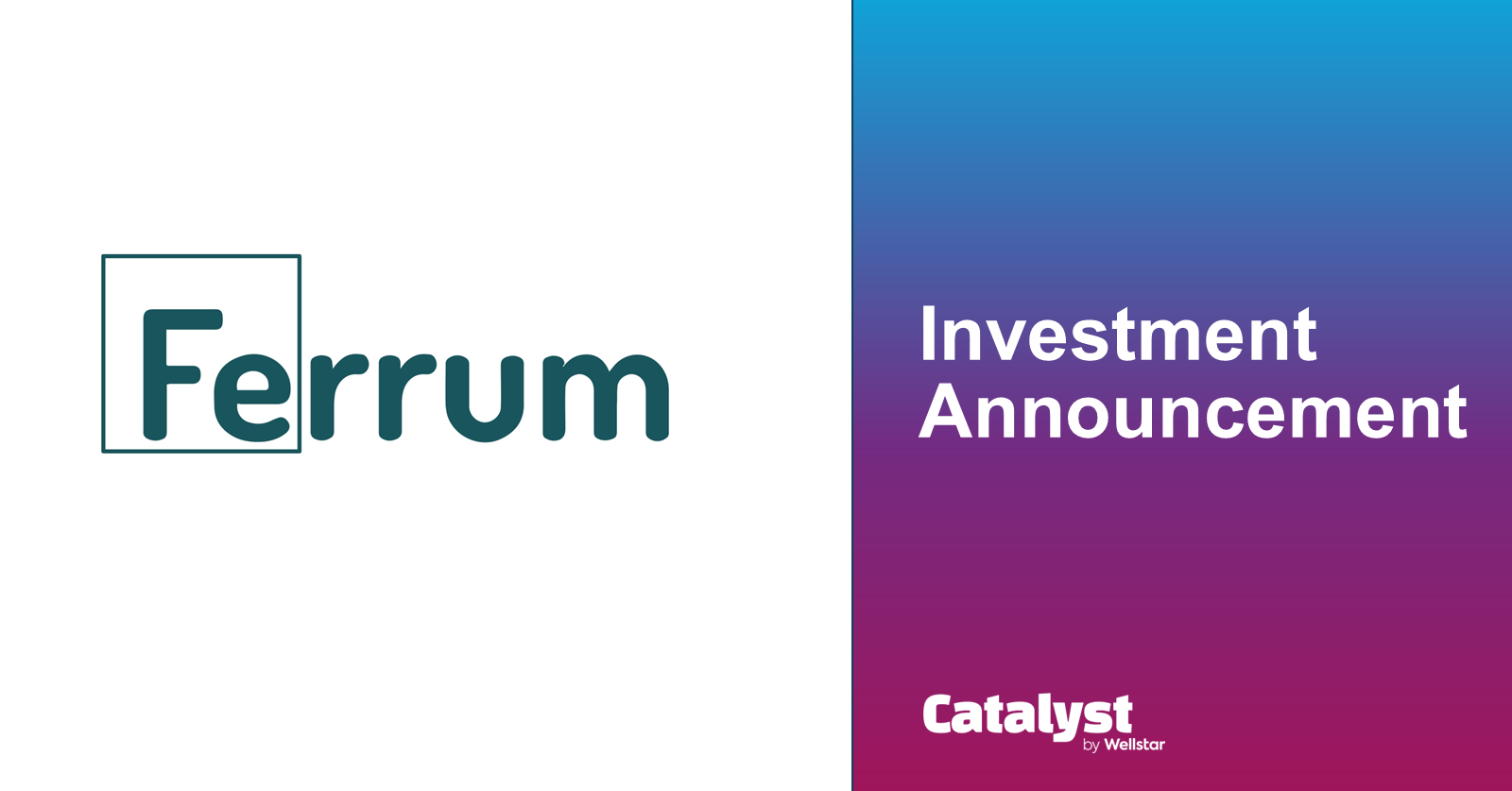Catalyst by Wellstar Invests in Ferrum Health to Advance Technology ...